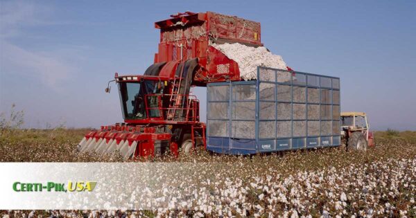 How do Cotton Harvesting Machines Work? - Certi-Pik, USA