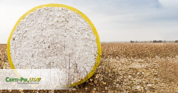 Cotton Bale Definition and Production - Certi-Pik, USA